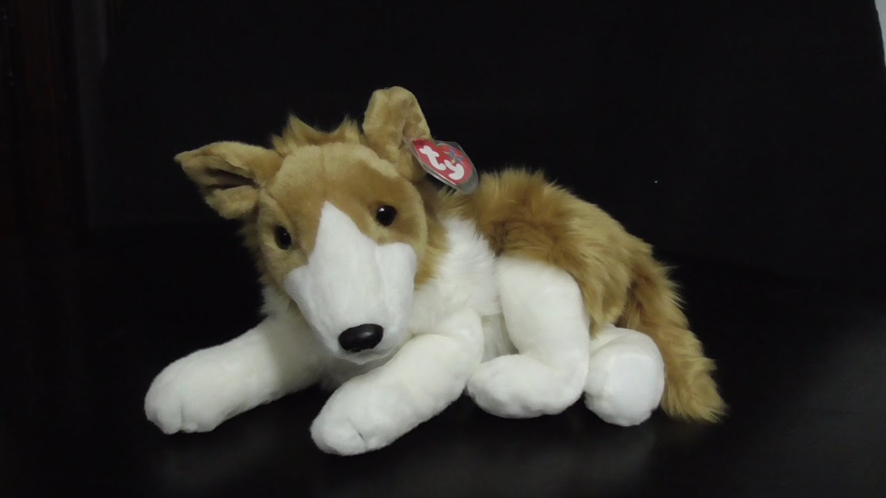 TY BEANIE BUDDIES 2001 CASSIE THE COLLIE DOG PLUSH REVIEW - YouTube