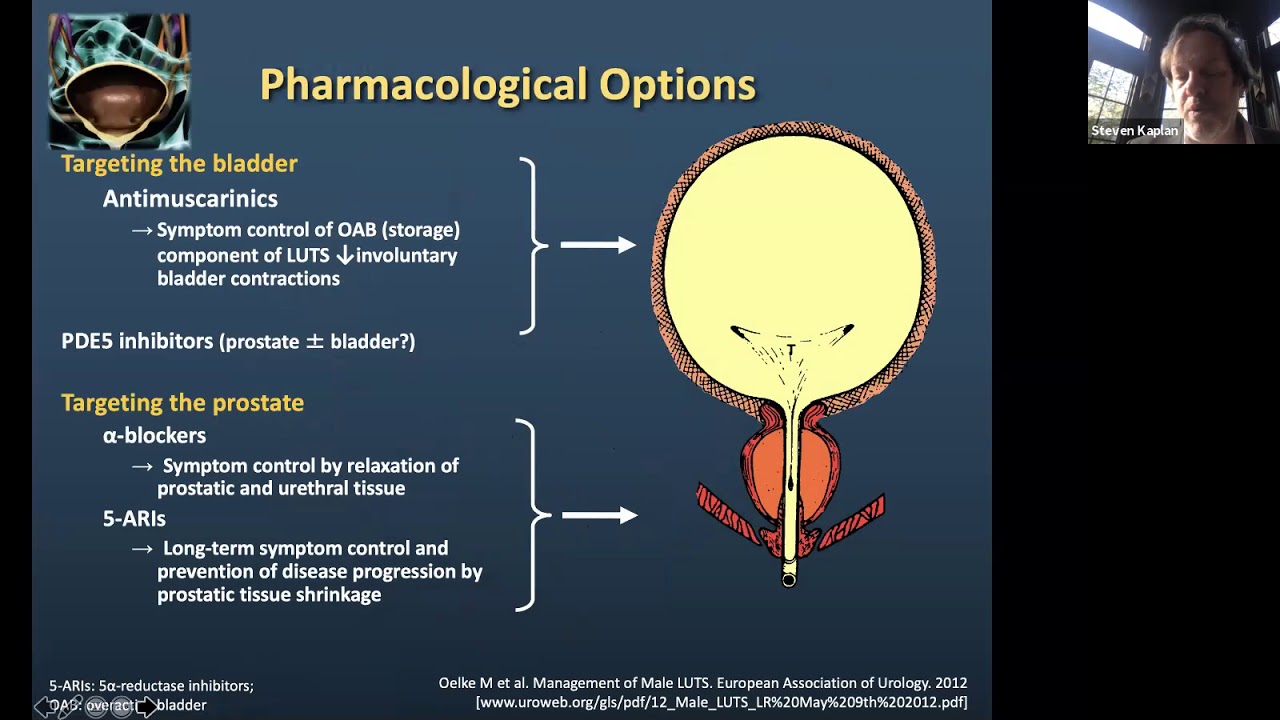 BPH Management in Elderly Patients - EMPIRE Urology Lecture Series ...