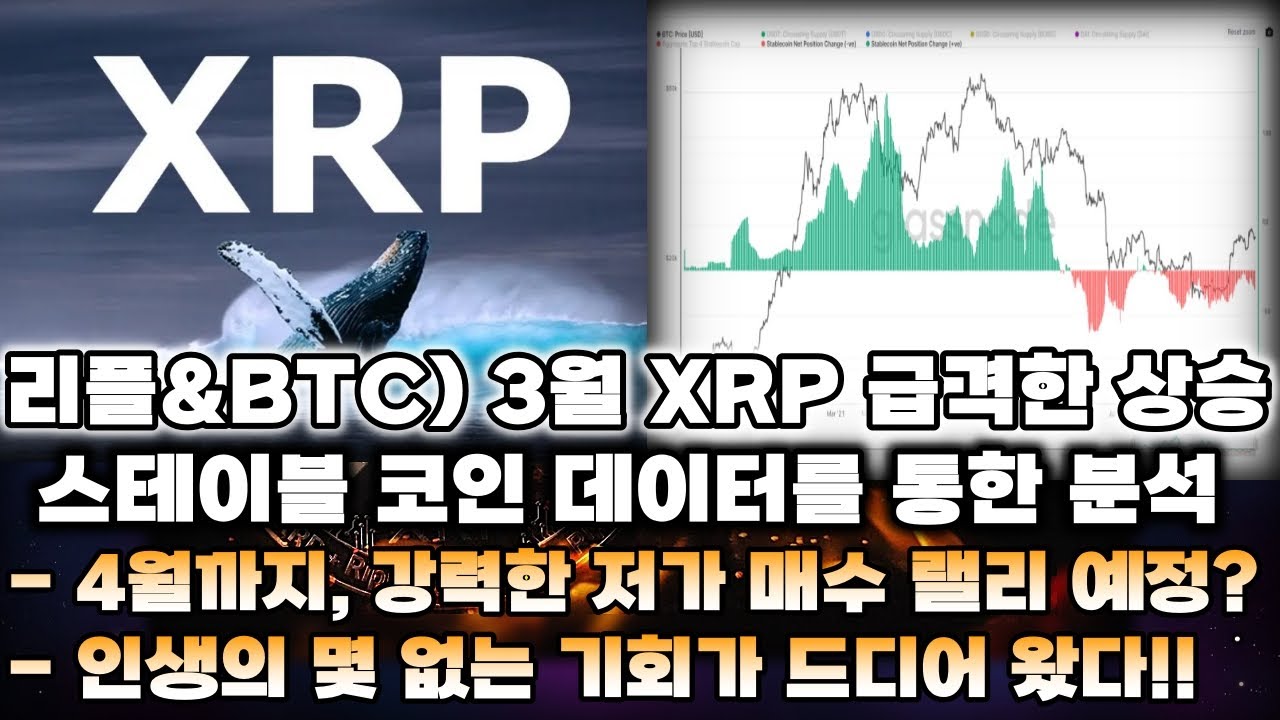 리플andbtc 3월 Xrp 급격한 상승 스테이블코인 데이터를 통한 분석 4월까지 강력한 저가 매수 랠리 예정 인생의 몇 없는 기회가 드디어 왔다 Youtube