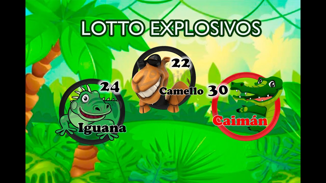 LUNES 24-06-2024 DATOS LOTTO ACTIVO, GRANJITA, GUACHARO, SELVA PLUS ...
