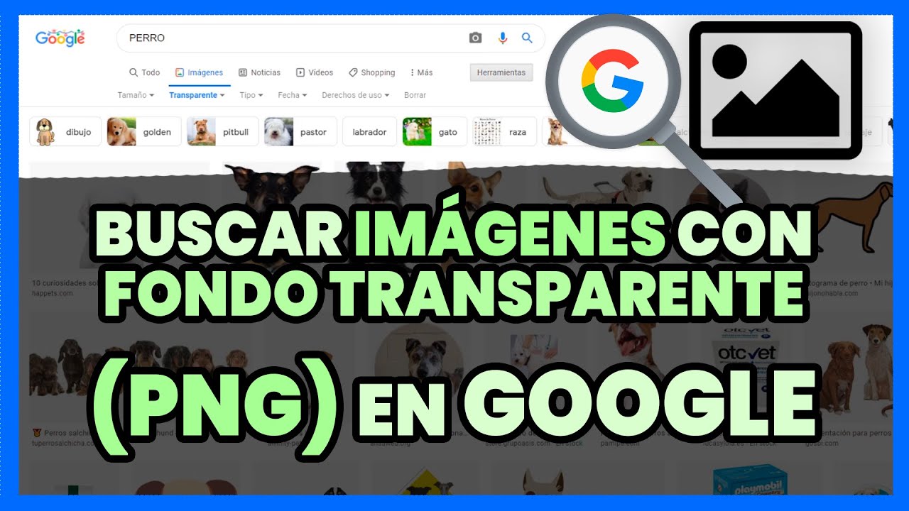 ⭐TRUCO para 🧐 Buscar IMÁGENES PNG en GOOGLE en 2026 Fotos con Fondo ...