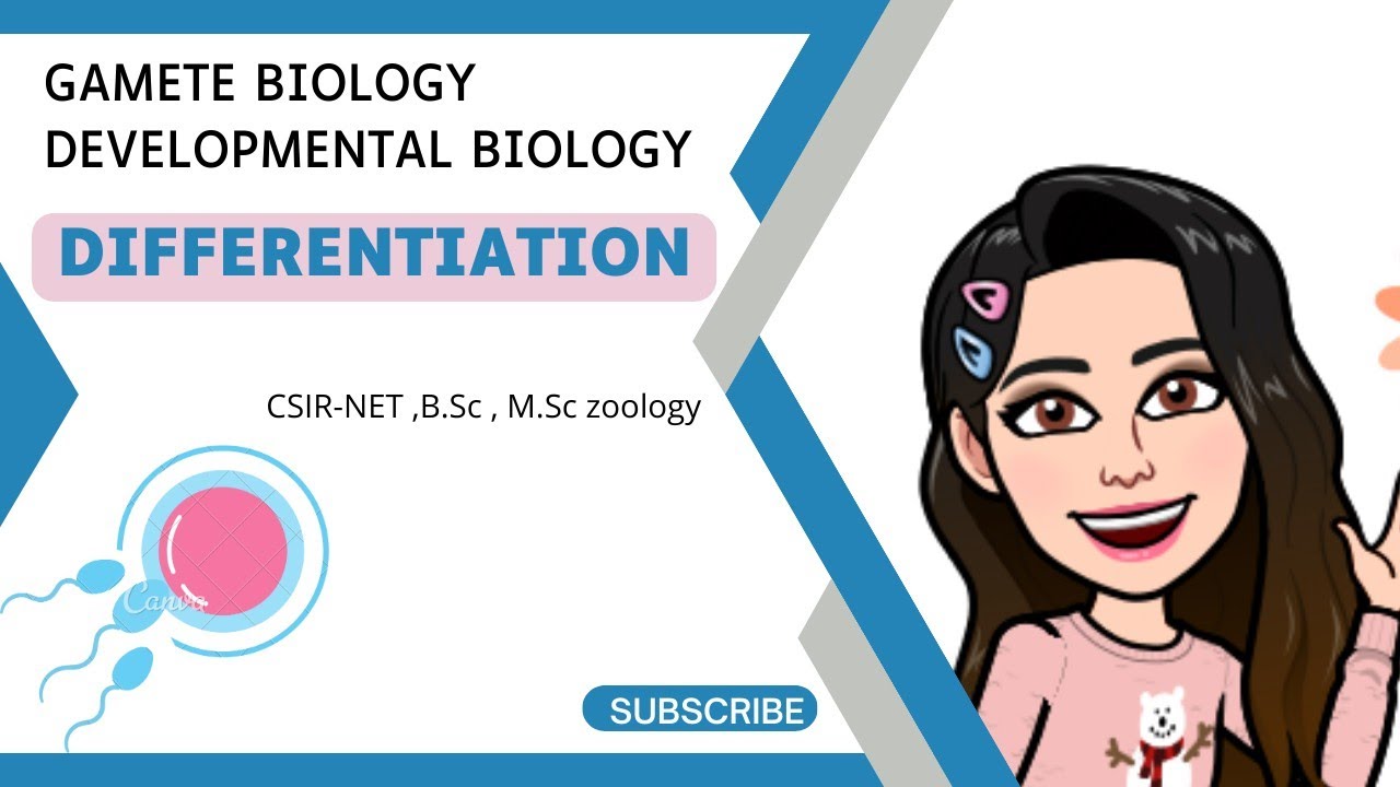 Cell Commitment & Differentiation of cells - Types , Properties ...