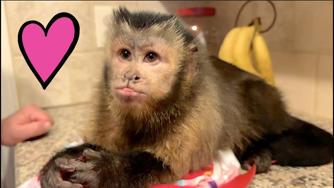 Monkey Princess Bath and Snack Time! - YouTube