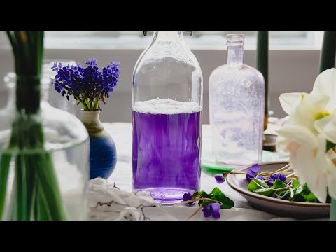 Wild Violet Syrup Recipe