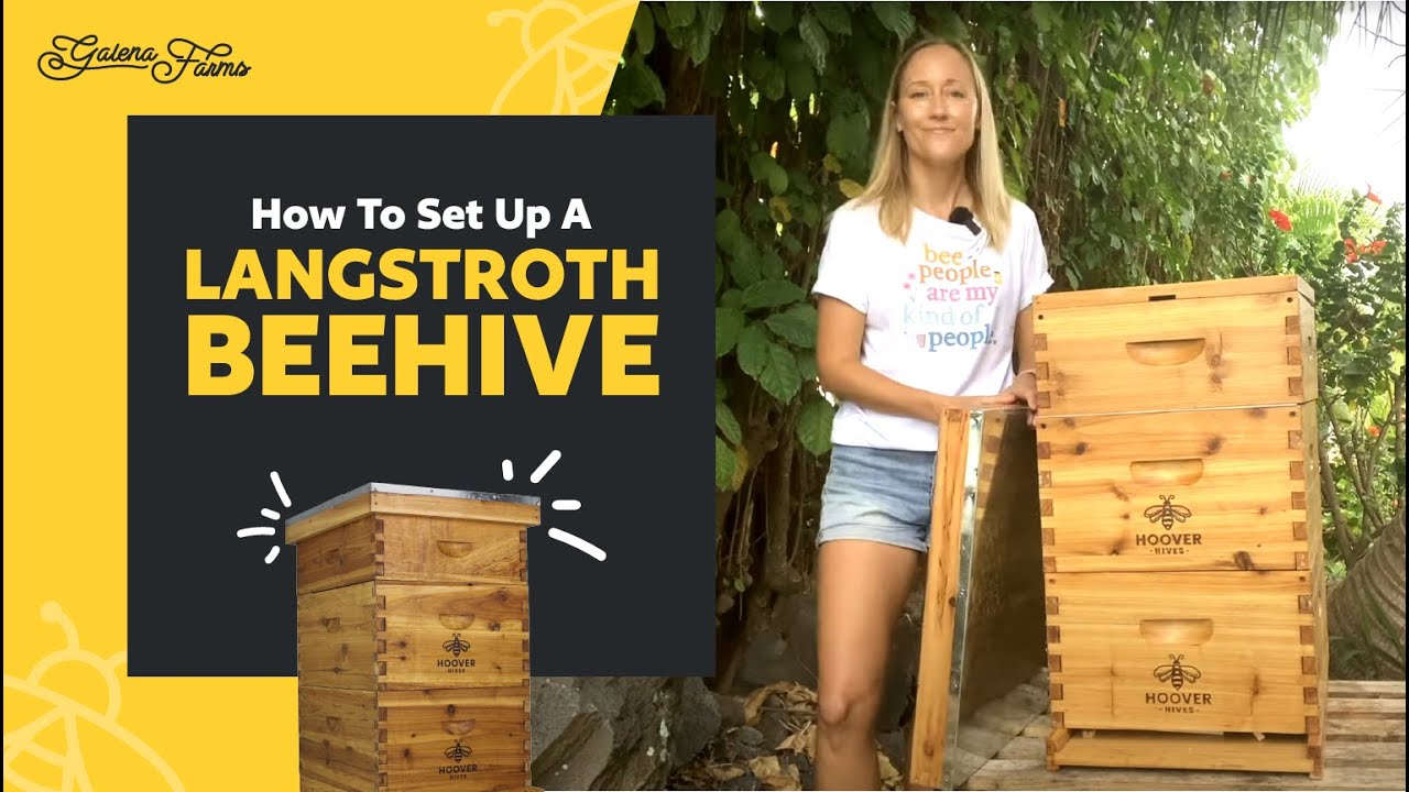 How to Set Up a Langstroth Beehive with Laryssa Kwoczak - Beekeeping ...
