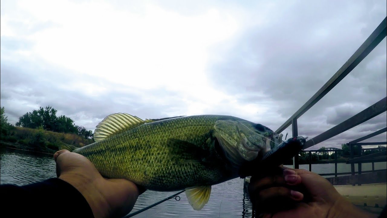 Runyon Lake Fishing!!! And Stocking!!! - YouTube