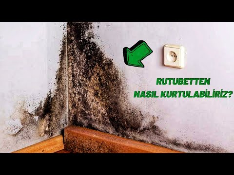 Evdeki Rutubetten Nasıl Kurtulabiliriz? Kesin Çözüm!!