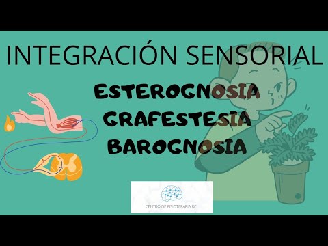 Esterognosia | Grafestesia | Barognosia | Integración Sensorial | 🧠🤚 ...