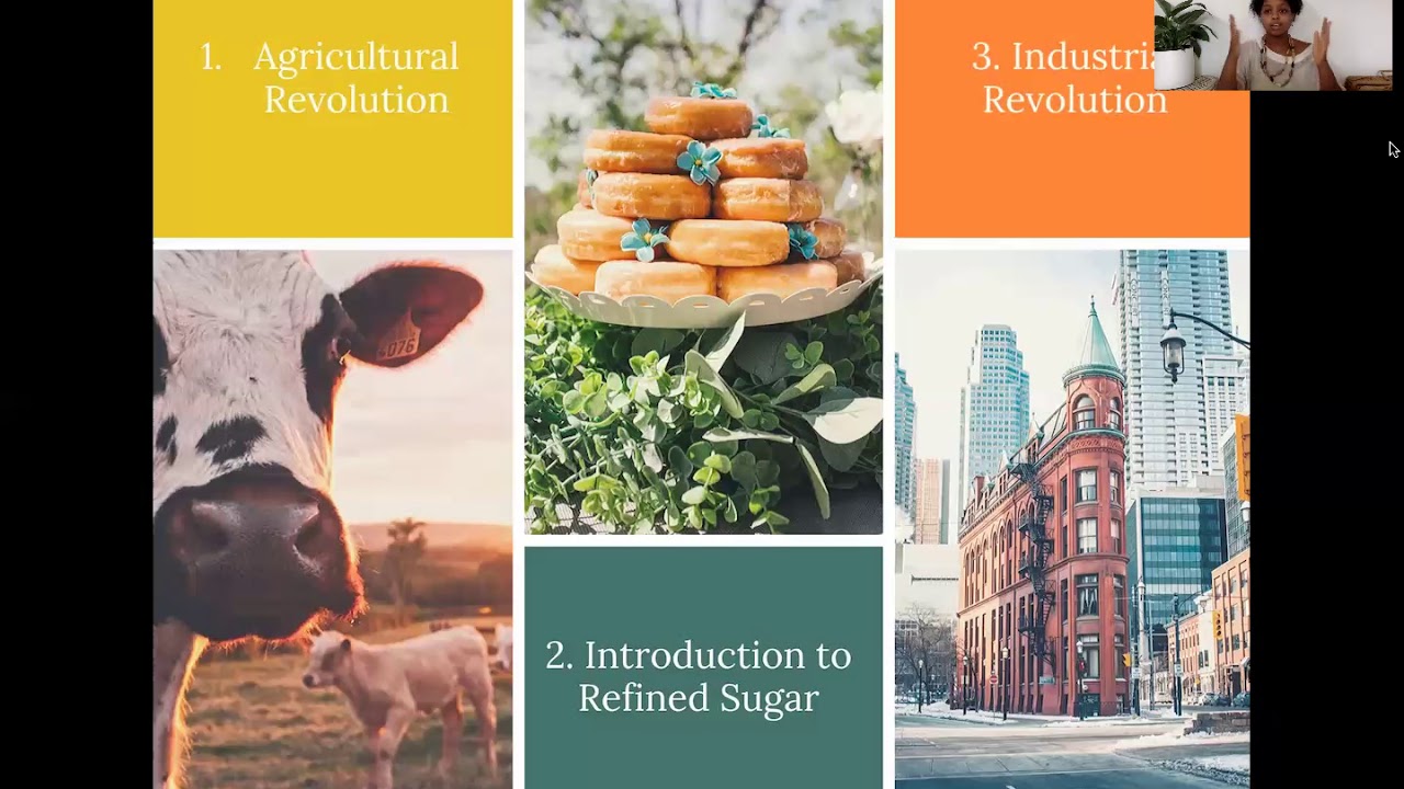 6 Milestones to the Modern Diet - YouTube