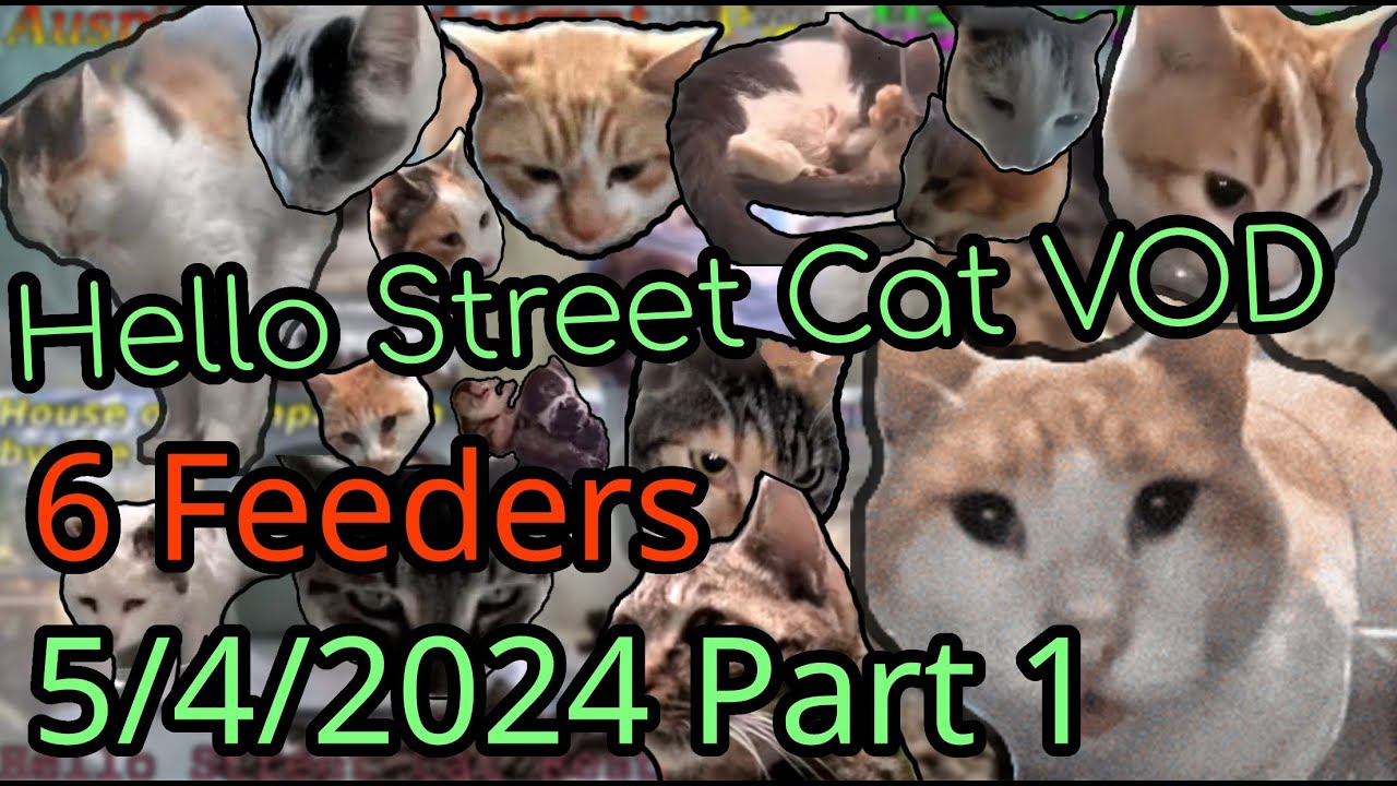 Hello Street Cat VOD - 5/4/2024 Part 1 - YouTube