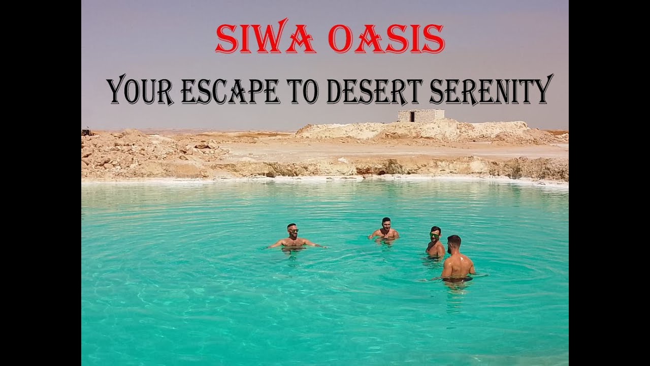 Siwa Tour : Discovering the Charms of Siwa Oasis: A 4-Day Adventure ...