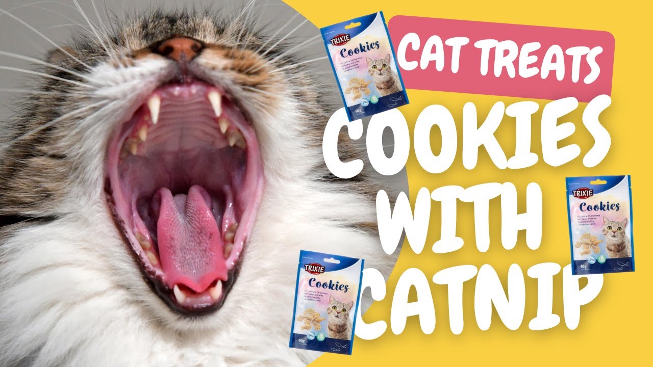Endless Feline Fun! Our Cats Love These Catnip Treats! 😻 | Trixie ...