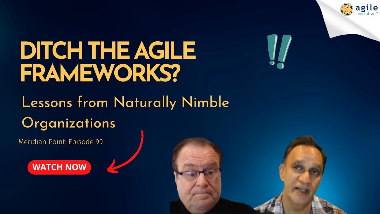 Ditch the Agile Frameworks? Lessons from Naturally Nimble Organizations ...