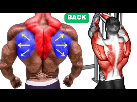 Build Your Back With Cable | Back Workout At Gym - YouTube