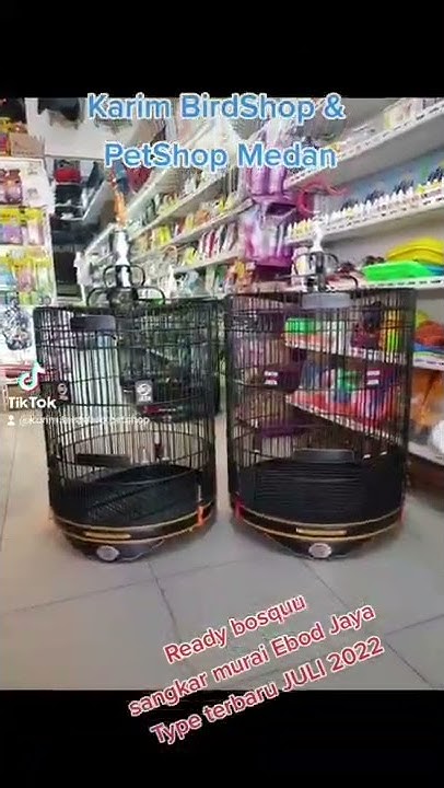 Sangkar murai EBOD JAYA terbaru update july 2022 di Medan by Karim BirdShop & PetShop Medan ...