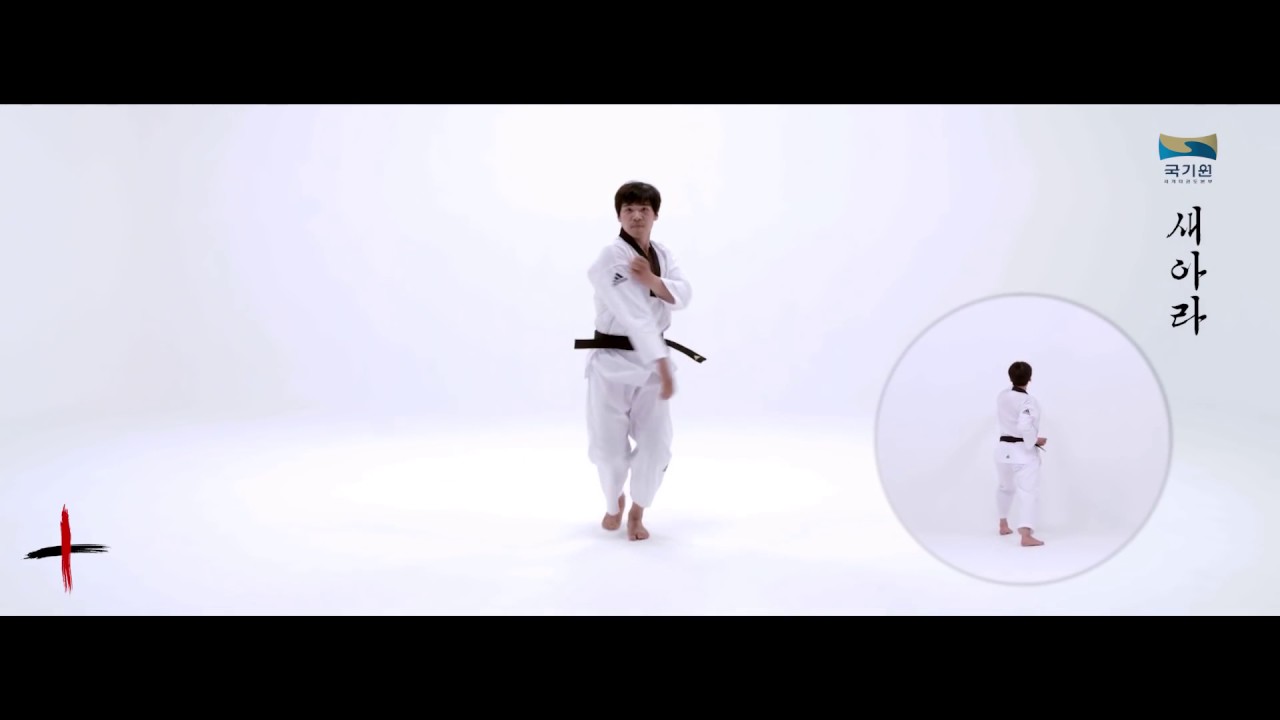 New Kukkiwon Taekwondo Competition Poomsae #7 Saeara 국기원 품새 새아라 (age 30 ...