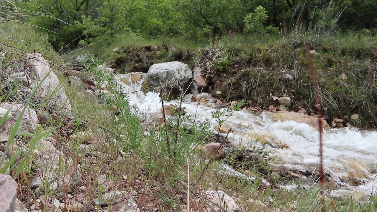 Utah Spring Creek - Calm soothing Nature Sound - Short Film - Part 4 ...