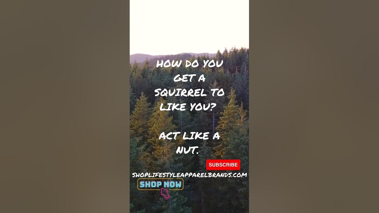 What Has More Letters Than The Alphabet short joke fyp YouTube what-has-more-letters-than-the-alphabet-short-joke-fyp-youtube