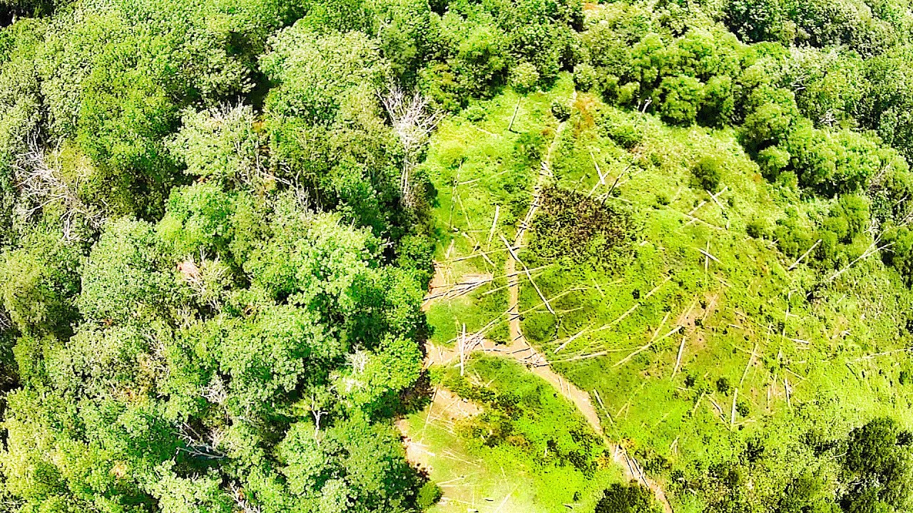 Beautiful Wetlands - YouTube