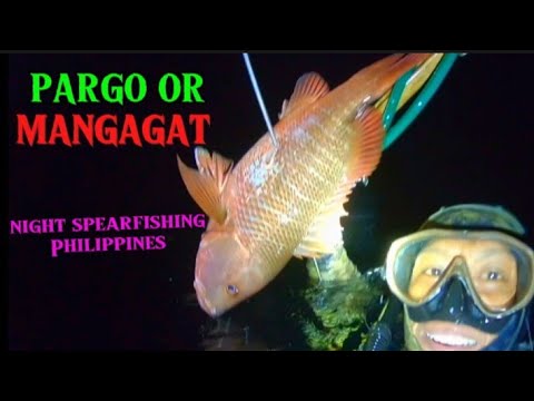 EPISODE/4 ANG LAKI PARGO OR MANGAGAT NIGHT SPEARFISHING - YouTube