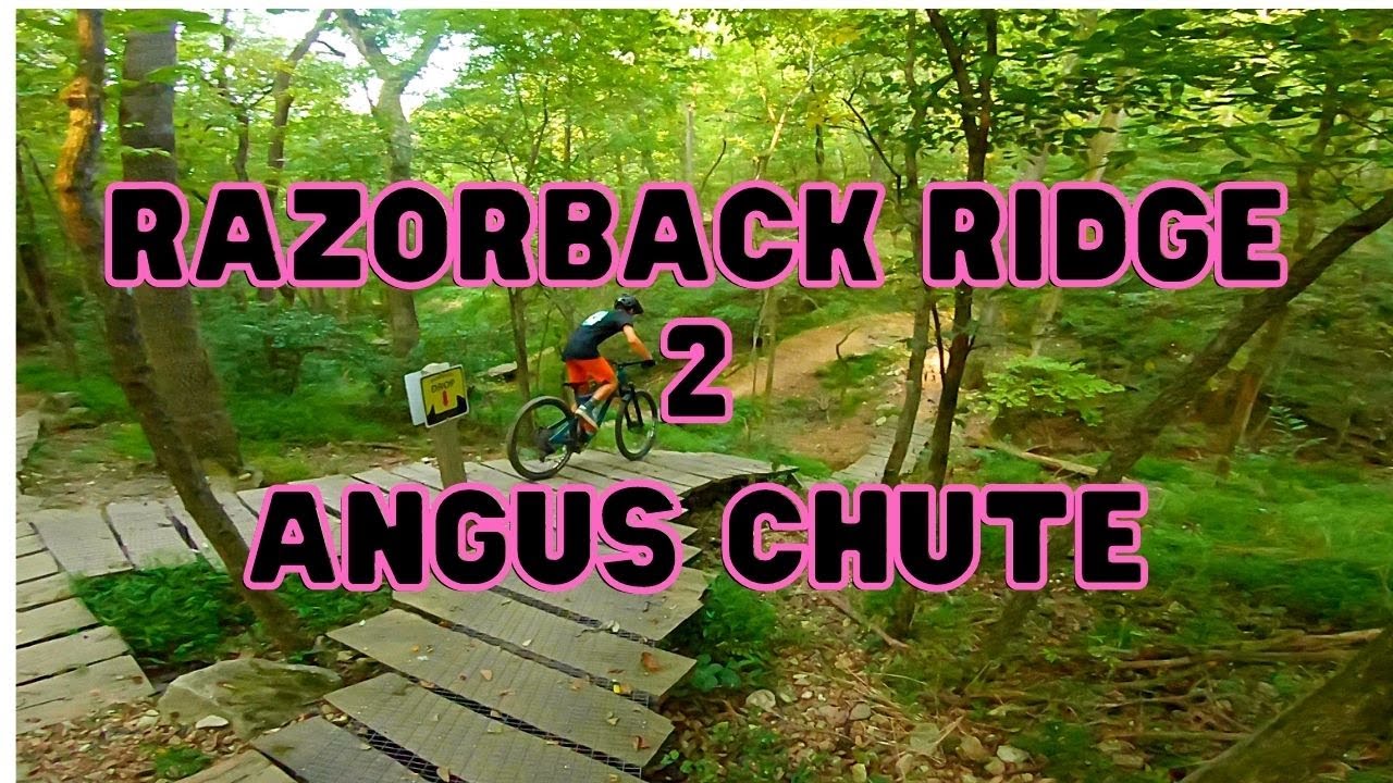 Razorback Ridge 2 Agnus Chute l Slaughter Pen l Bentonville - YouTube