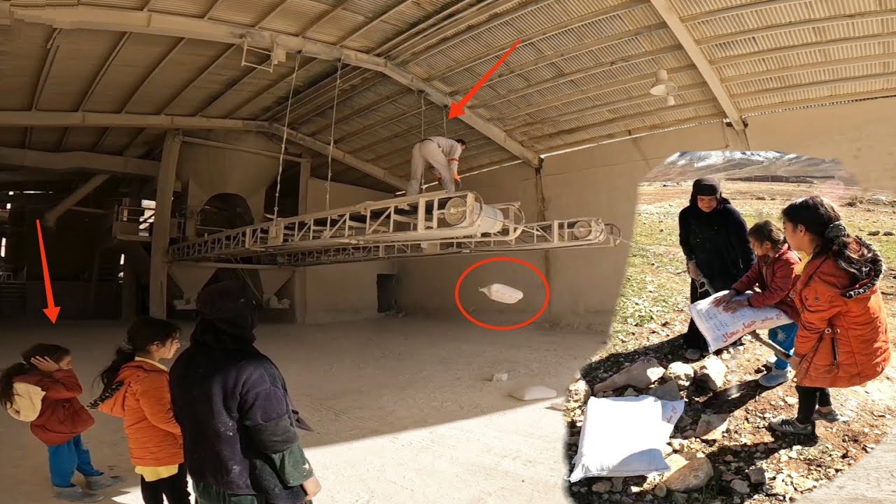 Cave to plaster factory: Great grandmother's journey to buy plaster ...