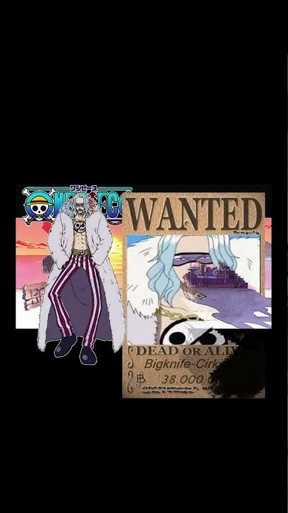 Листовки с розыском пиратов. Часть 3. Ван Пис | One Piece - YouTube