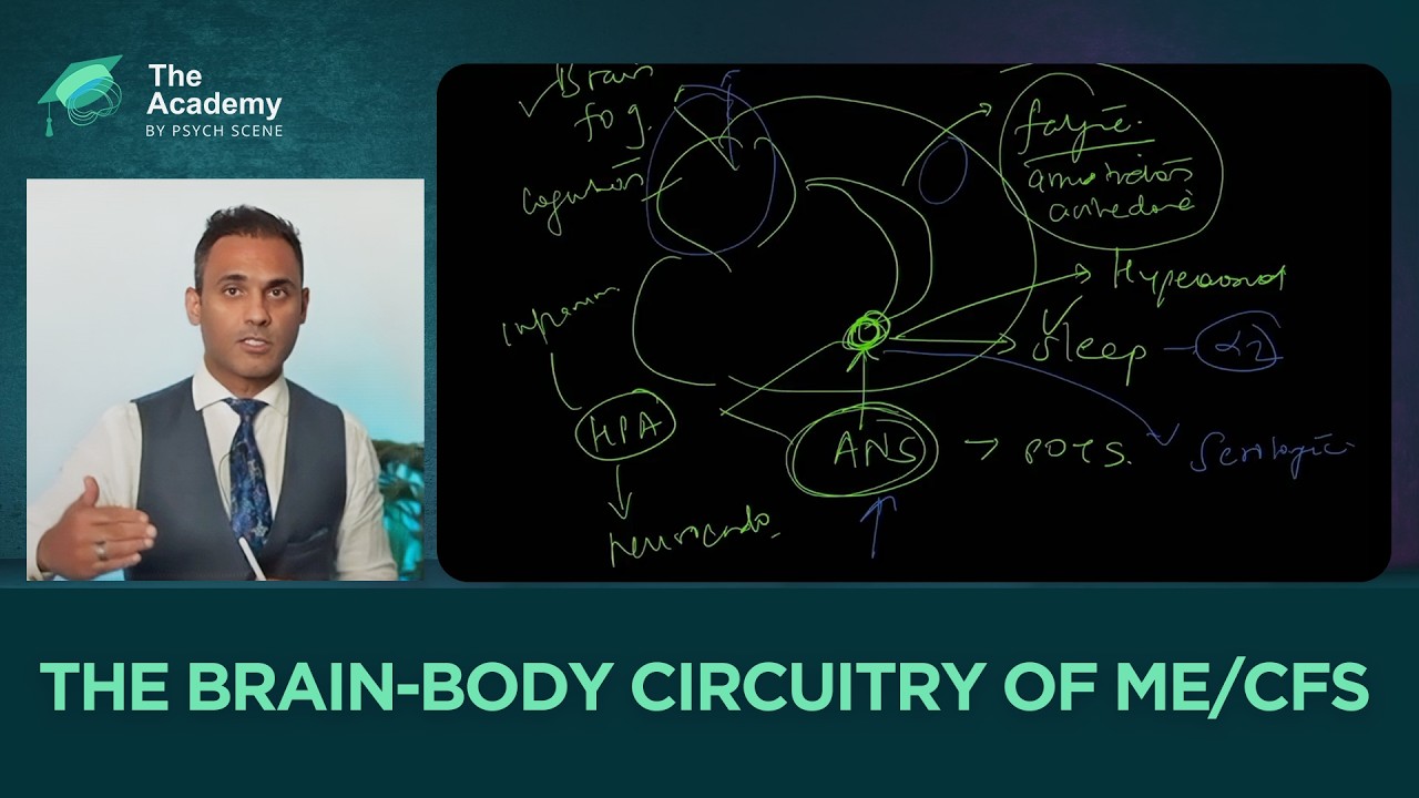 Understanding the Clinical Features of ME/CFS: Fatigue, Brain Fog, and ...