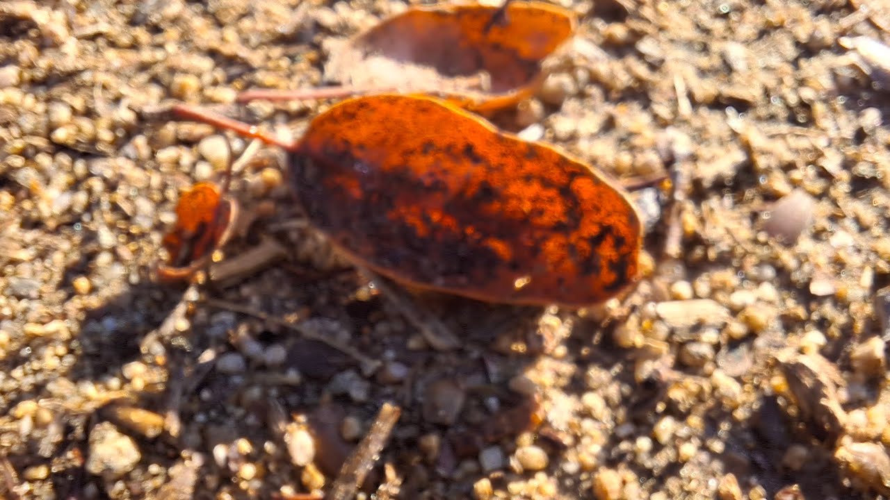 Cold ,wet morning - YouTube