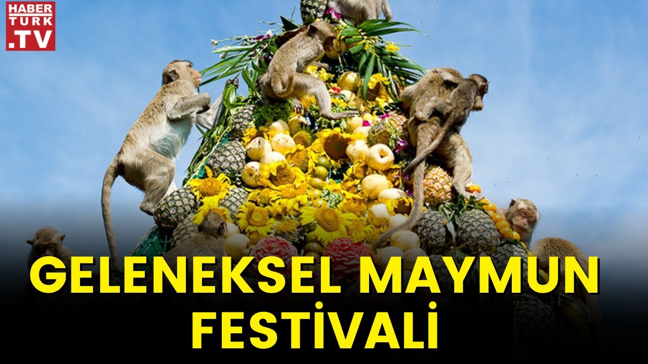 Tayland'da maymunlara açık büfe ziyafeti - YouTube