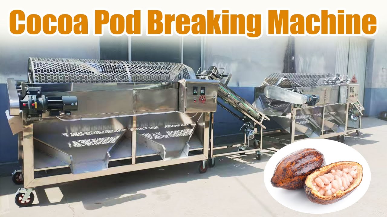 🍫Cocoa Pod Breaking Machine Contact+8617703863868 or Emial info ...