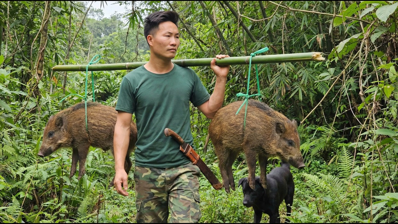 CEO Leaves the City for the Forest: Finds Wild Boar Tracks and ...