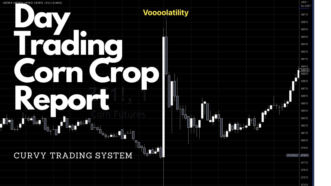 Day Trading Corn Bushel Report - Curvy Trading System - YouTube