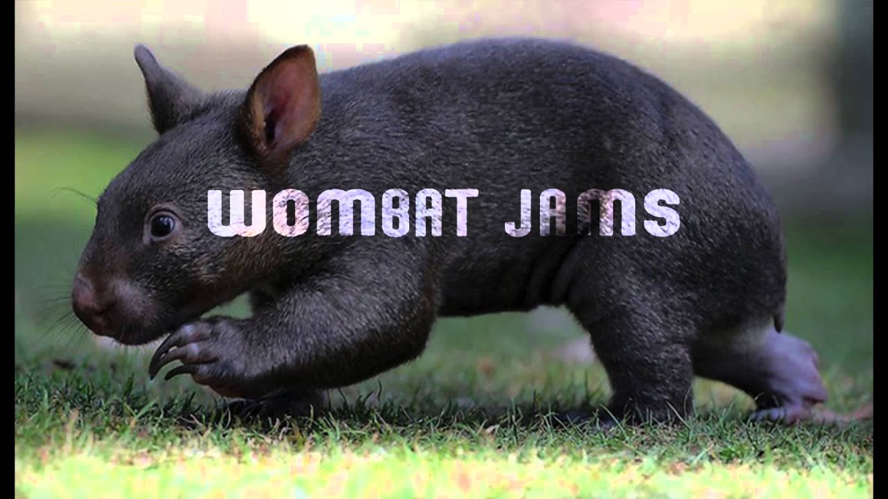 G-Eazy - Random instrumental | Type beat (Prod. Wombat Studios) - YouTube