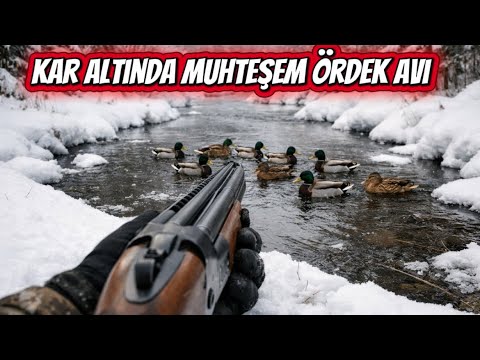 ÖRDEK AVI NE ARARSAN VAR MUHTEŞEM
