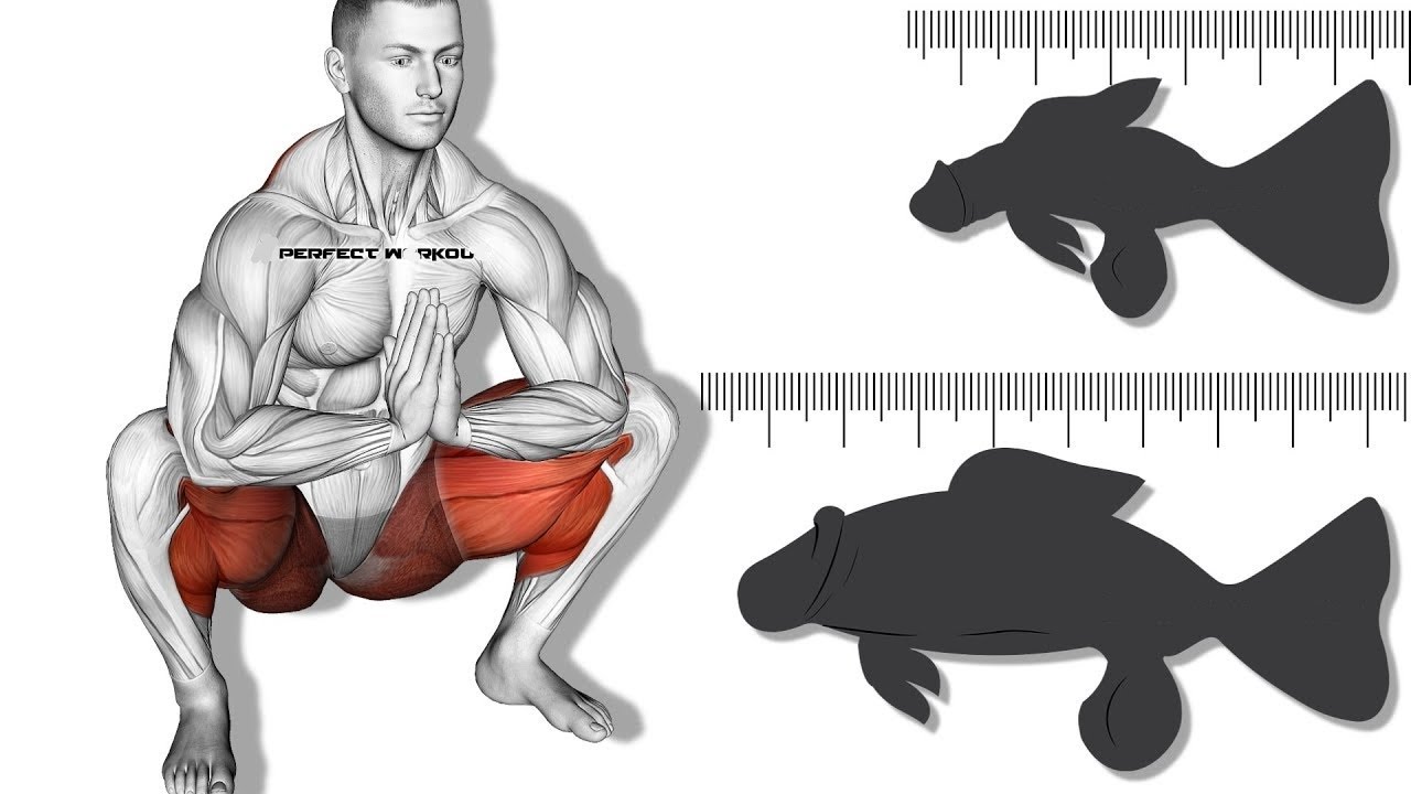 7 Minute Kegel Exercises of 3 Inches 🔨 Max in 1 Week ! | increase your ...