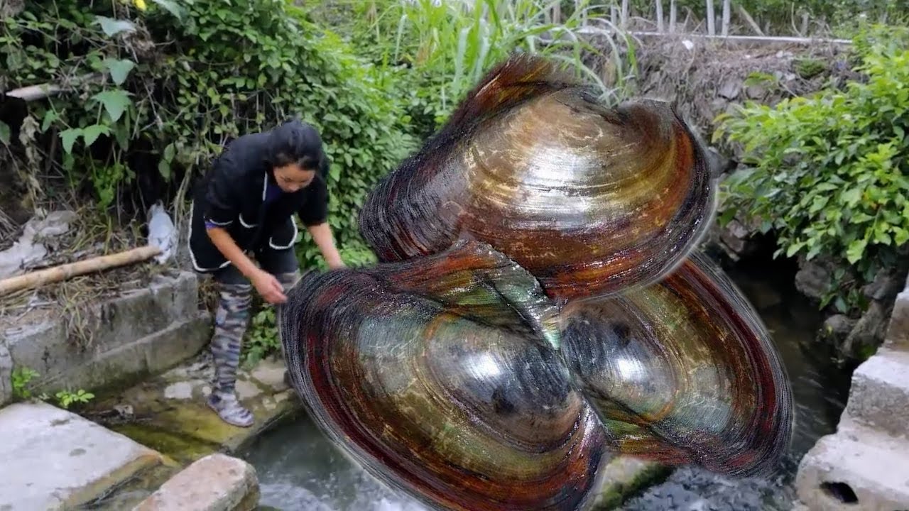 The fishing woman caught a mutated clam, and the pearl shone like a ...