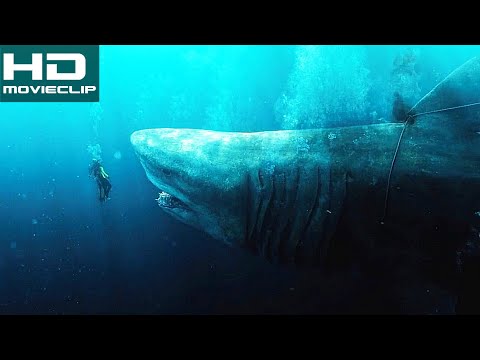 The Meg (2018) | Meg Posion Death scene | MOVIECLIPS HD