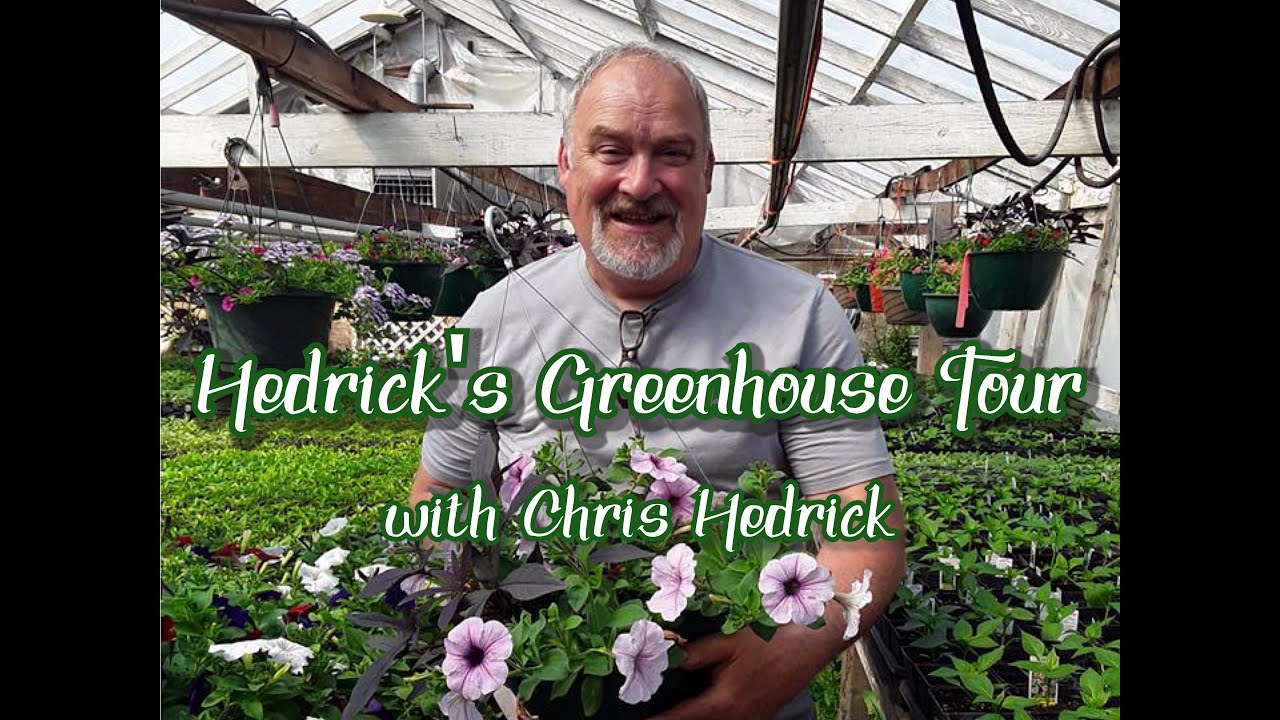 Greenhouse Tour 2020 - YouTube