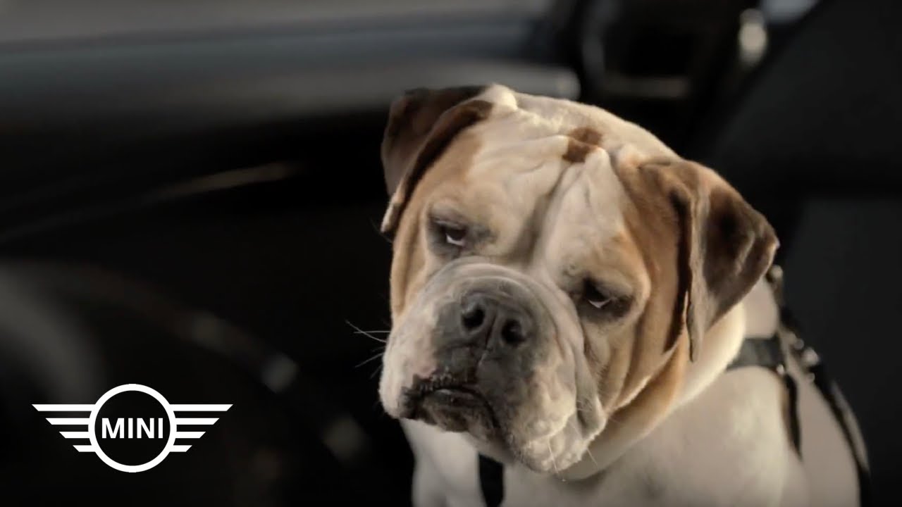 The New MINI. The New Original. Come on Spike. - YouTube