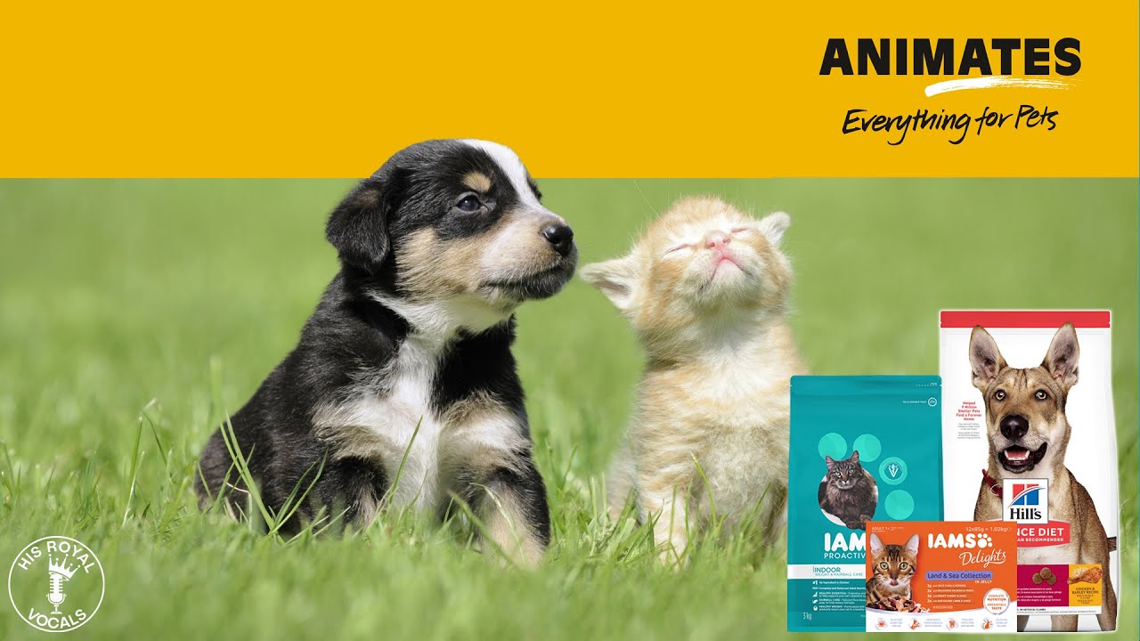Animates pet store ad | Scottish accent | Hisroyalvocals Voice Overs ...