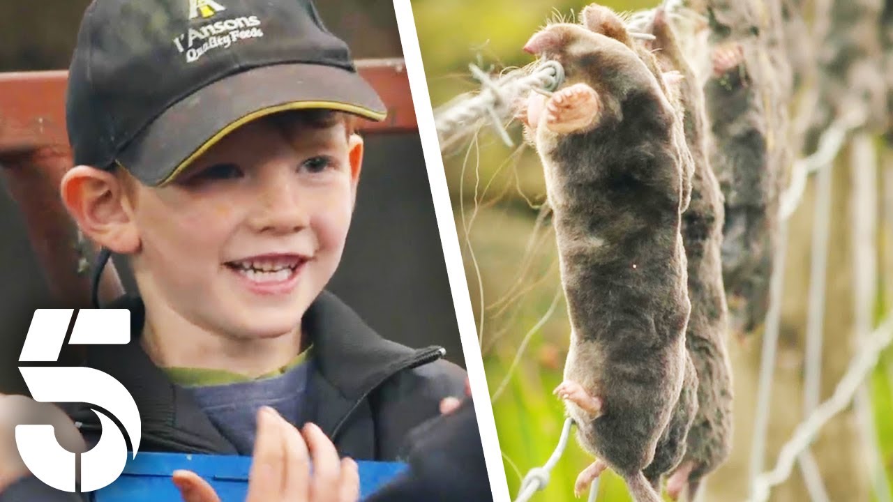 Younger Brother Learns How To Catch Moles | Our Yorkshire Farm ...