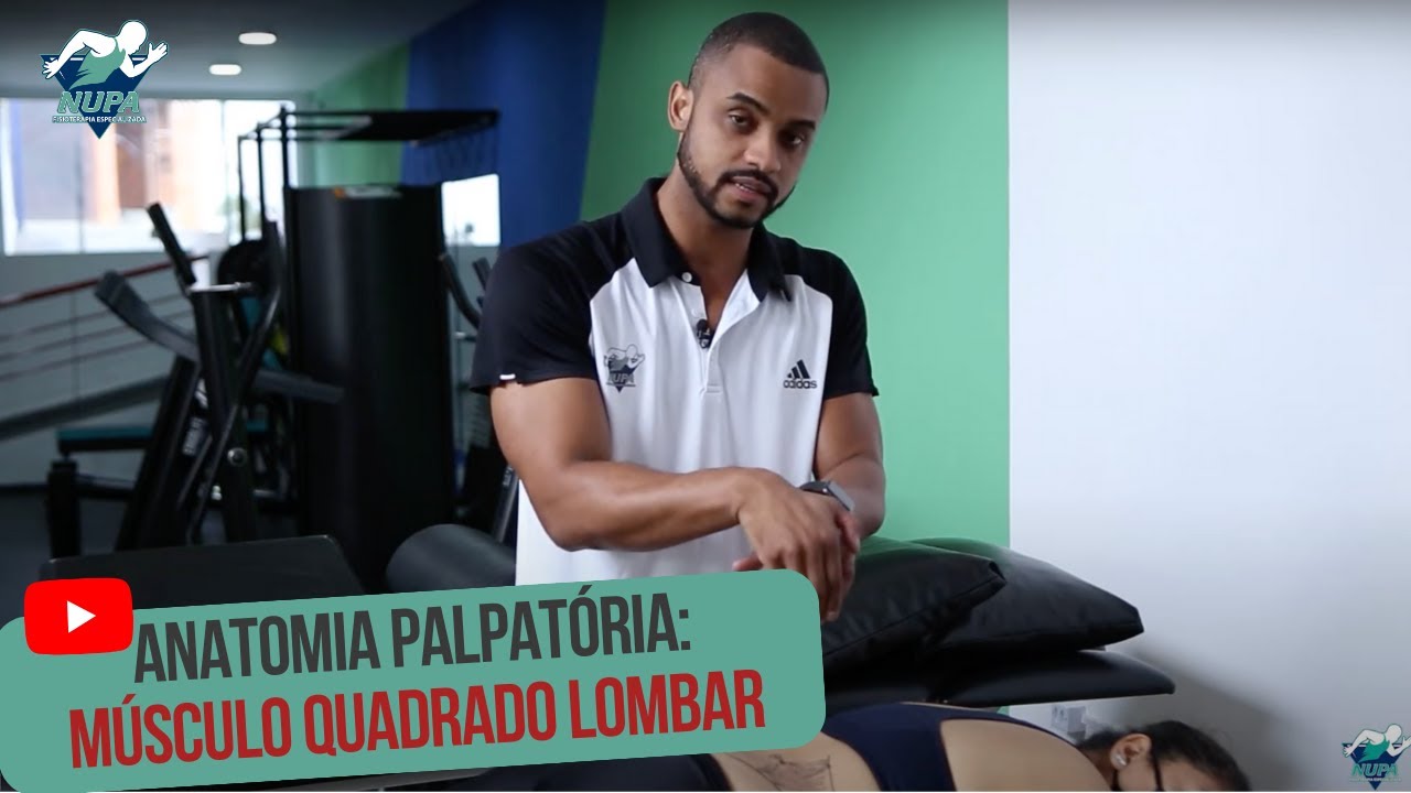 Aprenda como realizar a palpação do MÚSCULO QUADRADO LOMBAR - YouTube