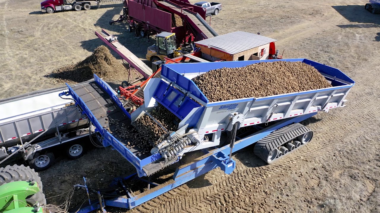 Alberta Potato Seed Harvest with the Crop Cart - YouTube