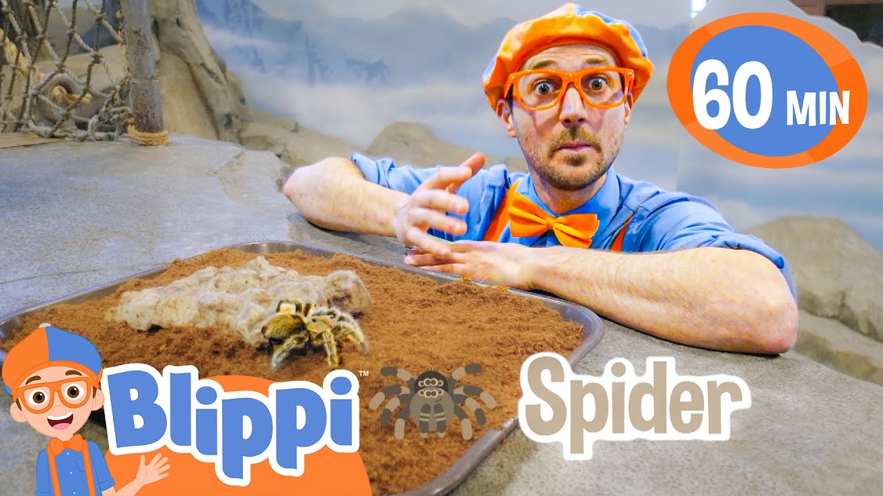 🟠 Blippi at the Zoo - Feeding the Animals | 🟣MEEKAH & BLIPPI 🟠| Super ...