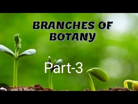 Scope and Branches of Botany part -3 - YouTube