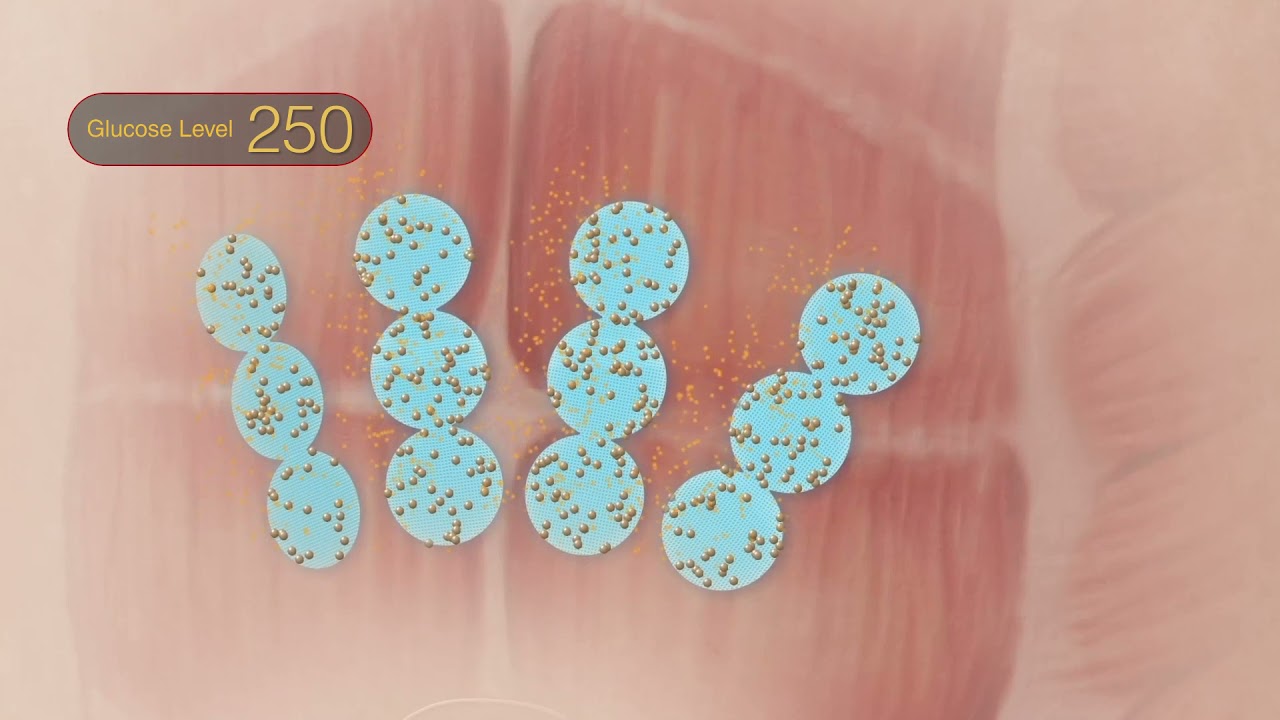 Betalin Solution - YouTube