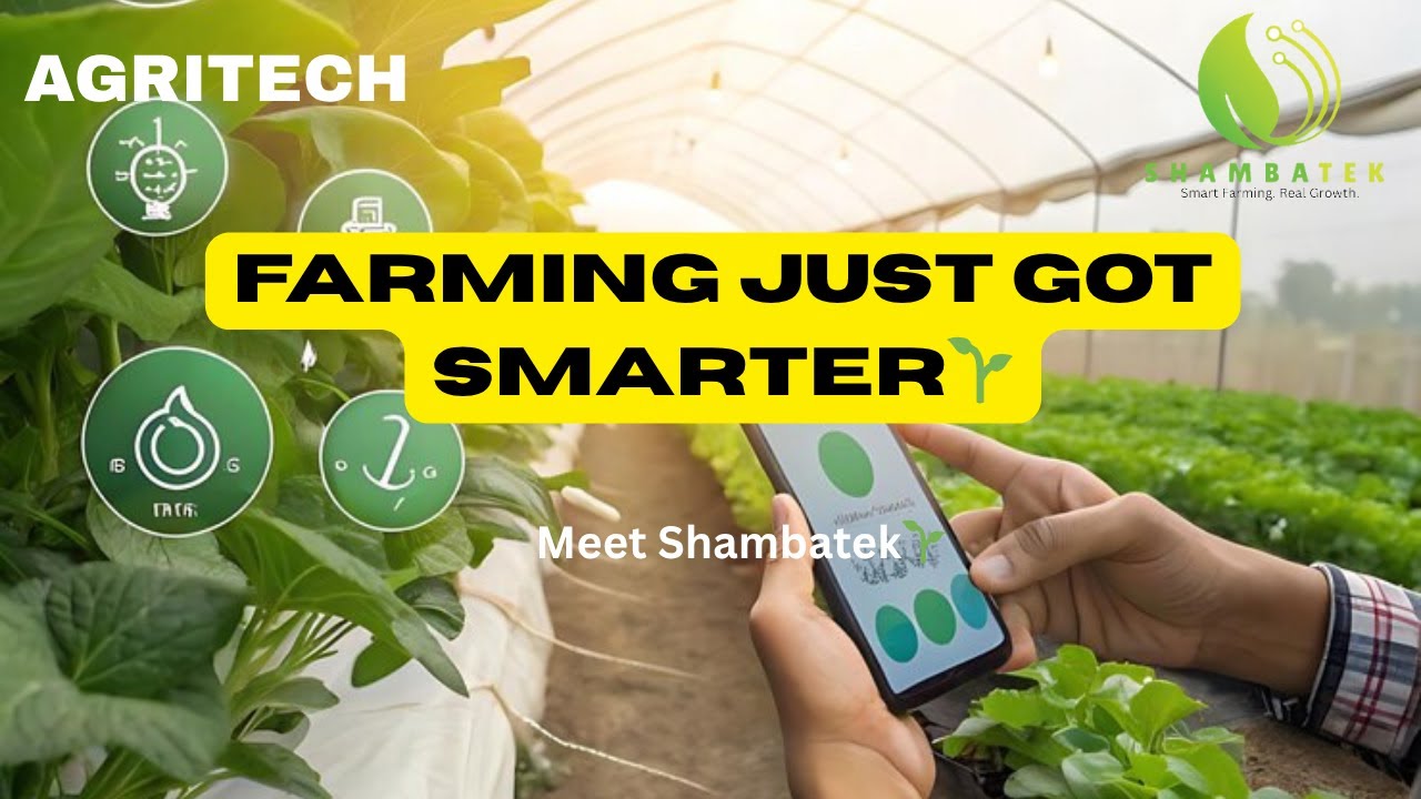 🌾 How AgriTech is Changing Farming in Kenya | Meet Shambatek - YouTube