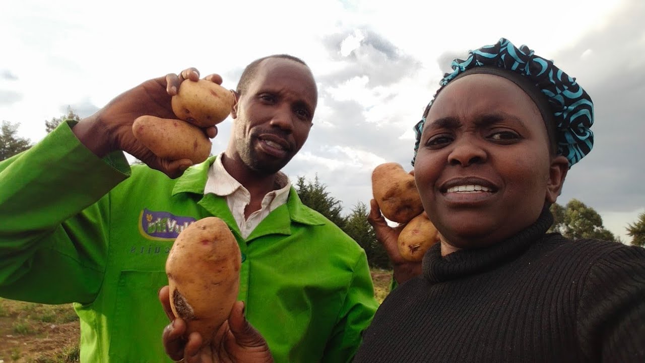 🥔🔥HOW TO COOK CHIPS FROM SCRATCH AT HOME 🏠 KENYAN CHIPS AT THE VILLAGE ...