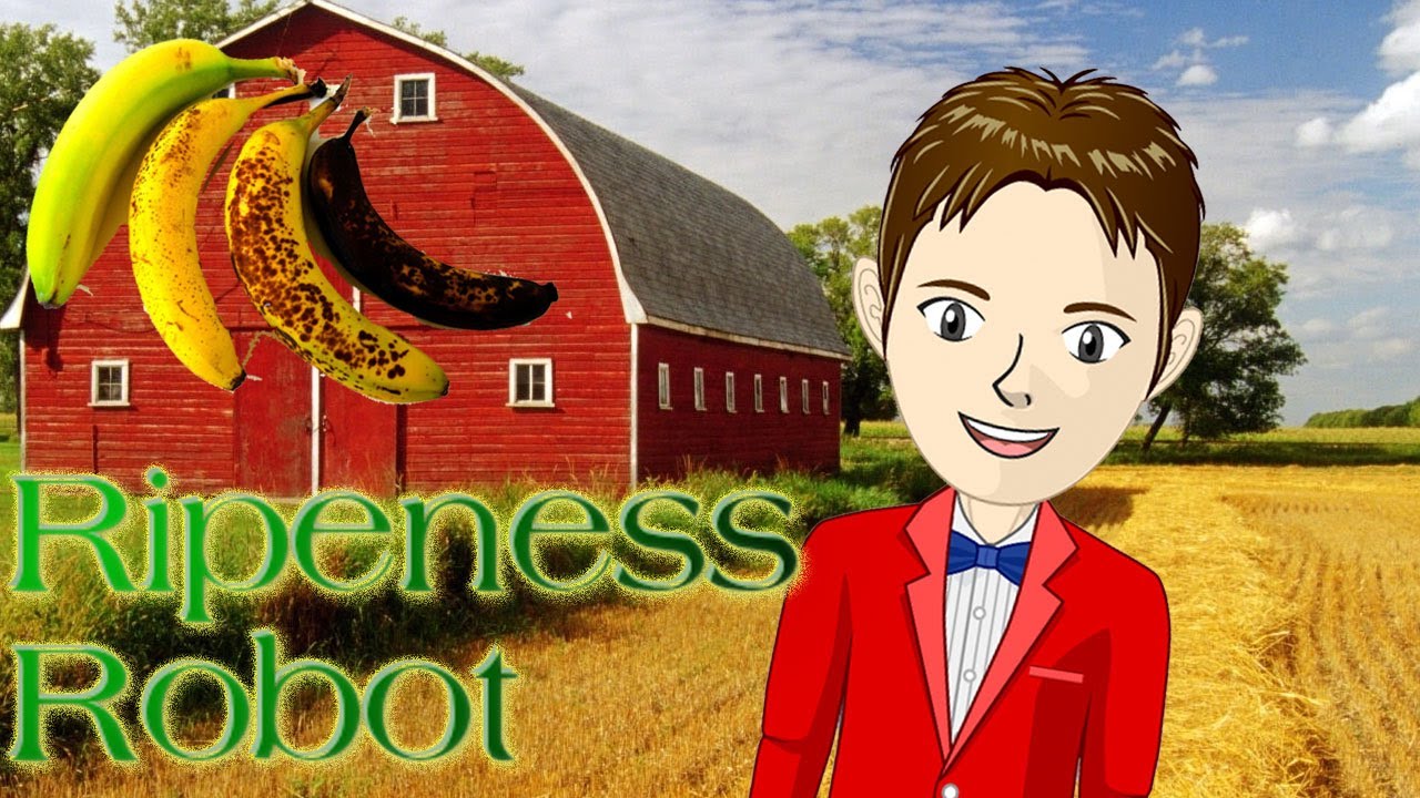 Ripeness Robot?!- Building a Circuit to Detect Ripe Produce - Science ...